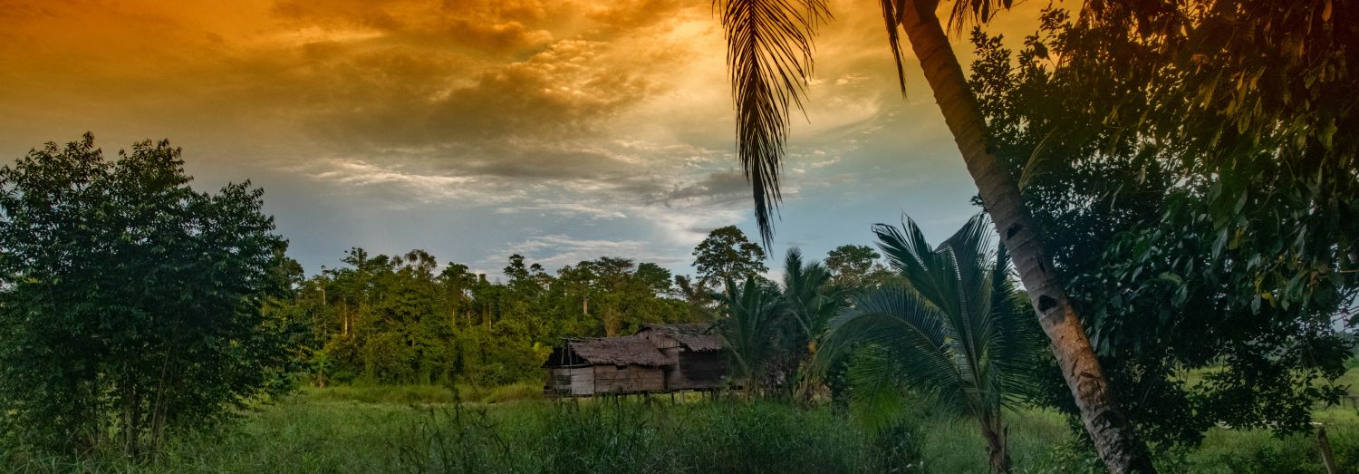 RARCC’s director looks for a WWII aircraft and finds something more ...